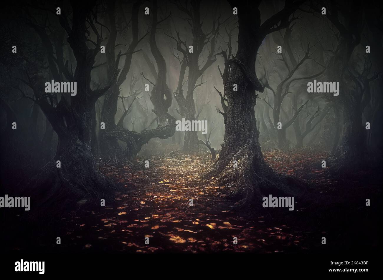 Enchanted fairytale path illustration hi-res stock photography and images - Alamy