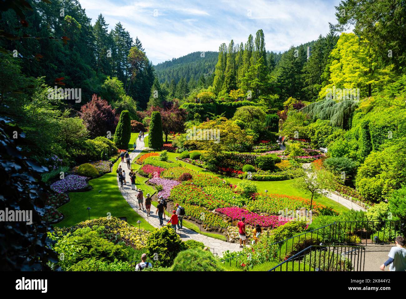 Photograph from a beautiful summer walk through the Butchart Gardens ...