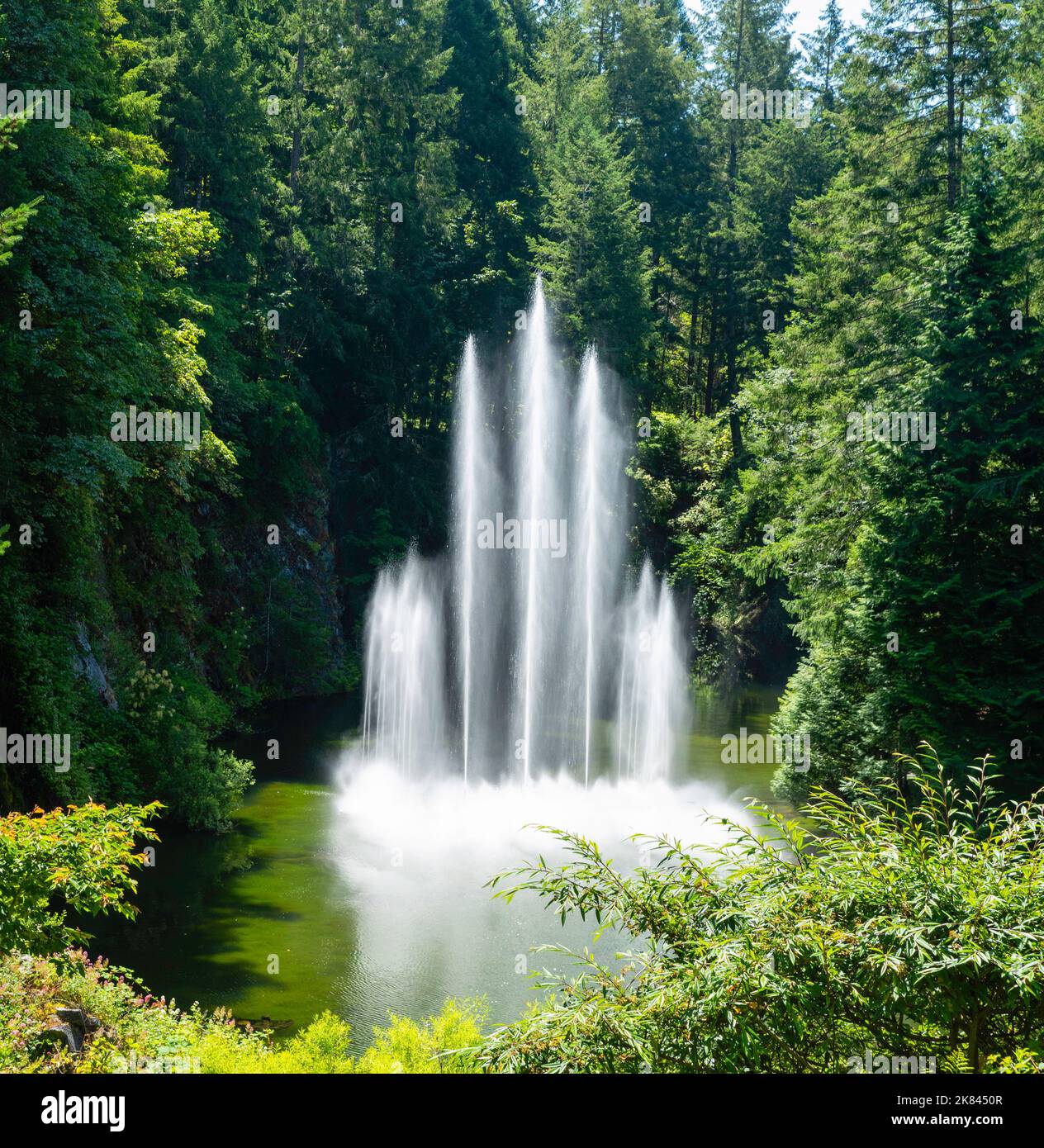 Photograph from a beautiful summer walk through the Butchart Gardens ...