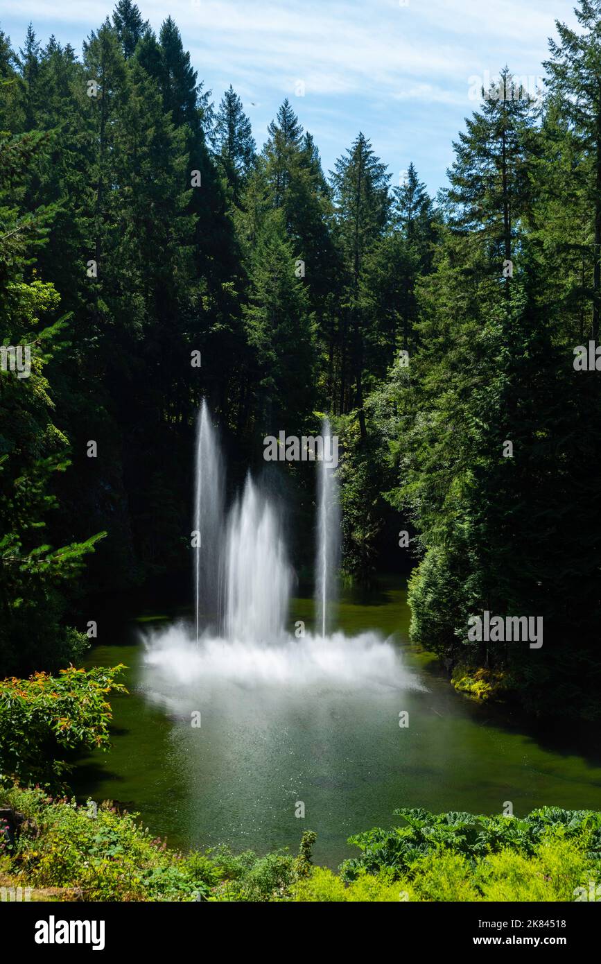 Photograph from a beautiful summer walk through the Butchart Gardens ...