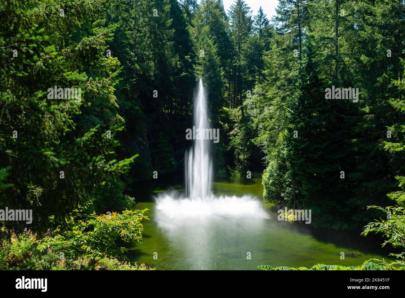 Photograph from a beautiful summer walk through the Butchart Gardens ...