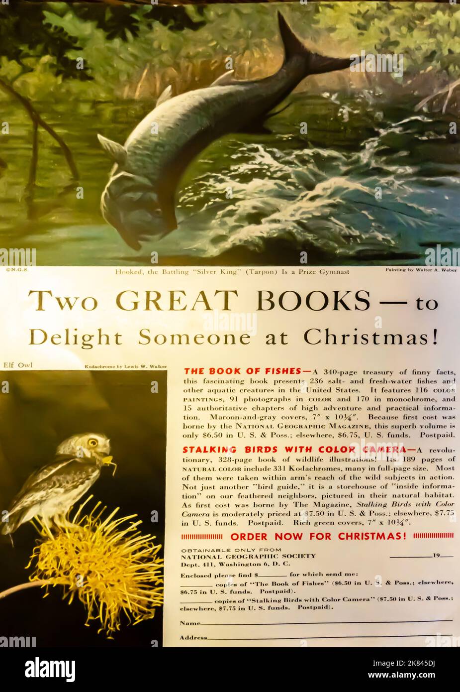 Old national geographic magazines hi-res stock photography and images ...