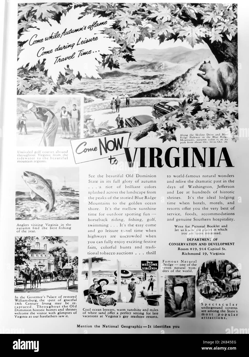 Virginia travel vacation, tourist advert in a NatGeo magazine, 1954 ...