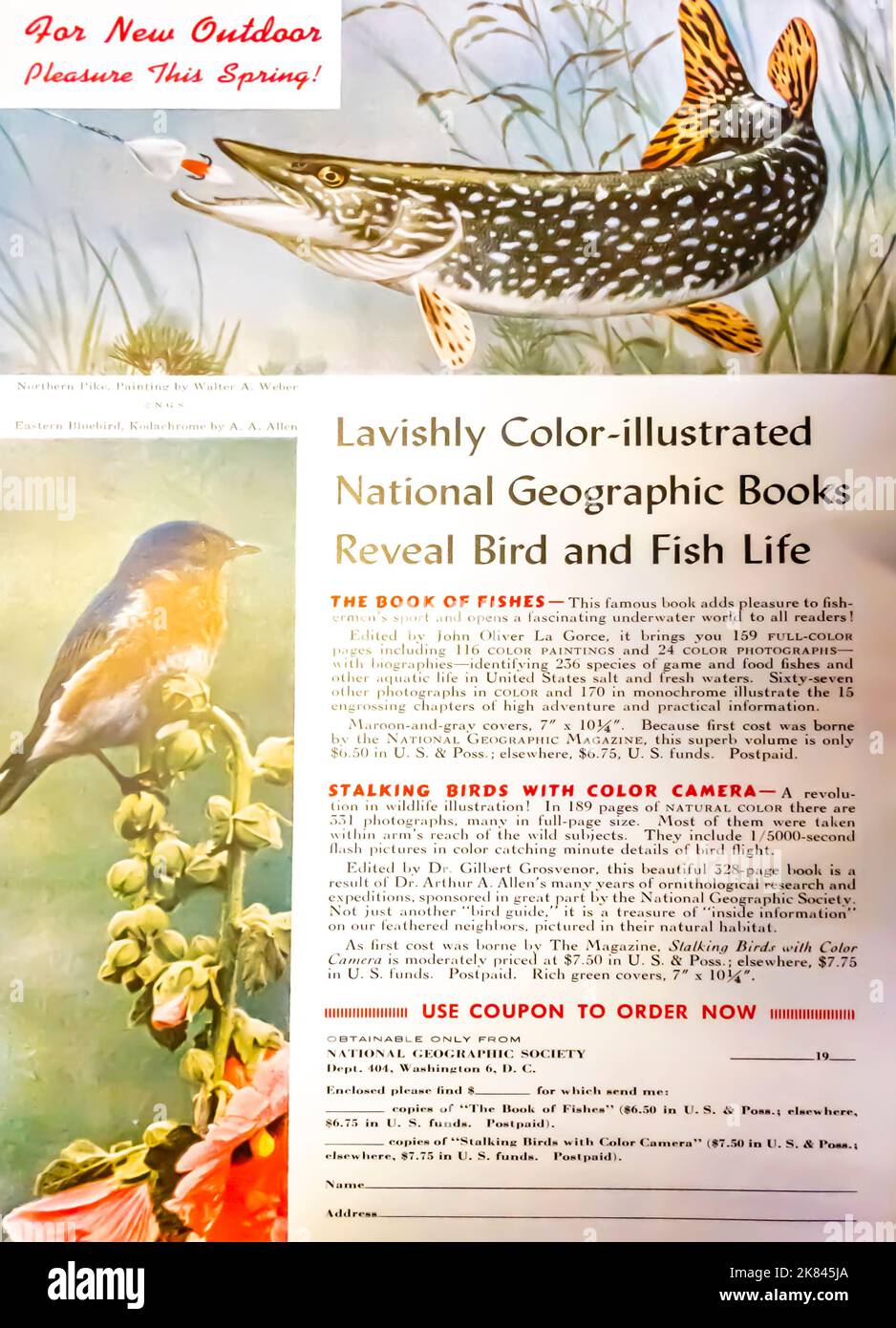 National geographic books Reveal bird and fish life advert in a NatGeo ...