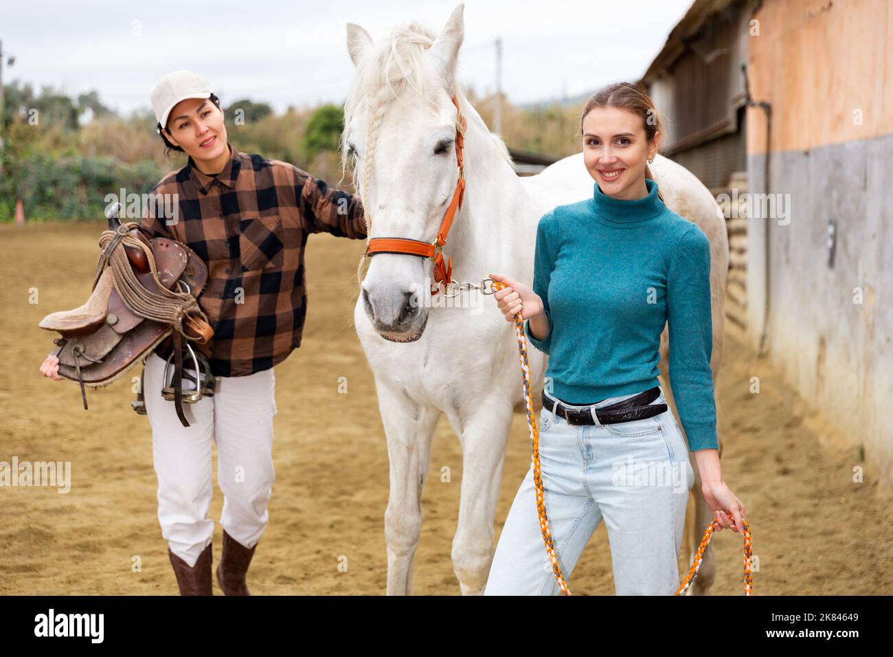 Girl holding racehorse on outdoor arena while Asian woman saddling up ...