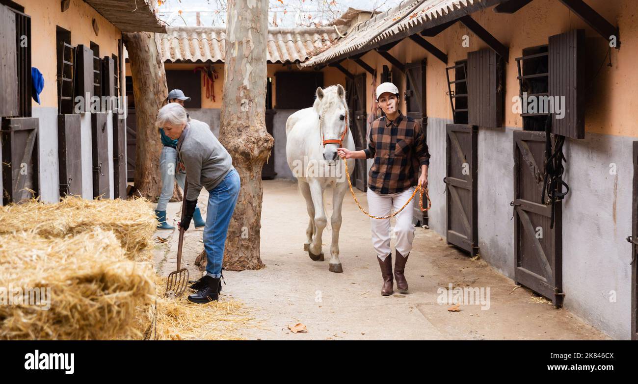 Woman walks a white horse while others clean up the courtyard of stable ...