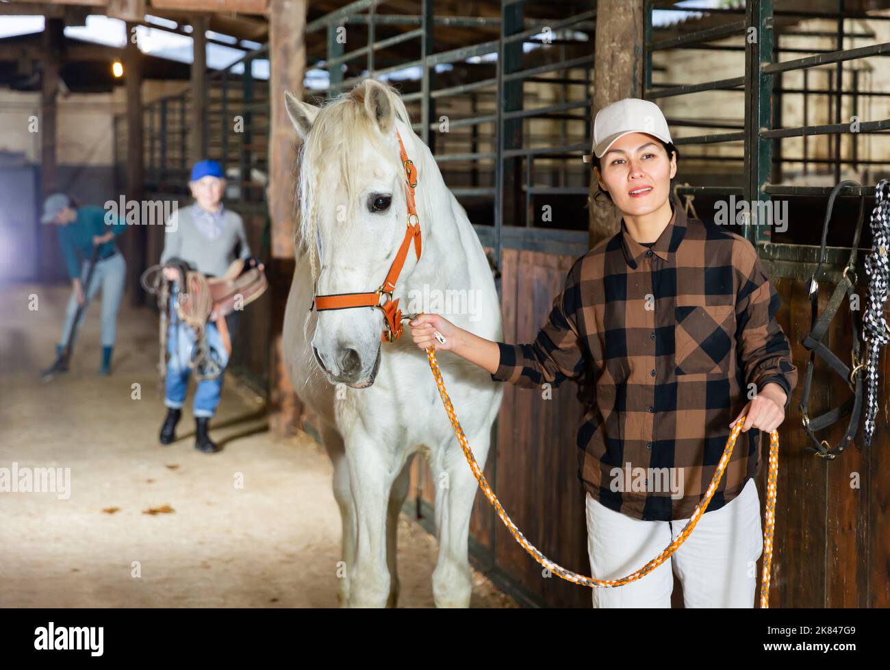 Asian female stable worker leading horse by bridle in barn Stock Photo ...