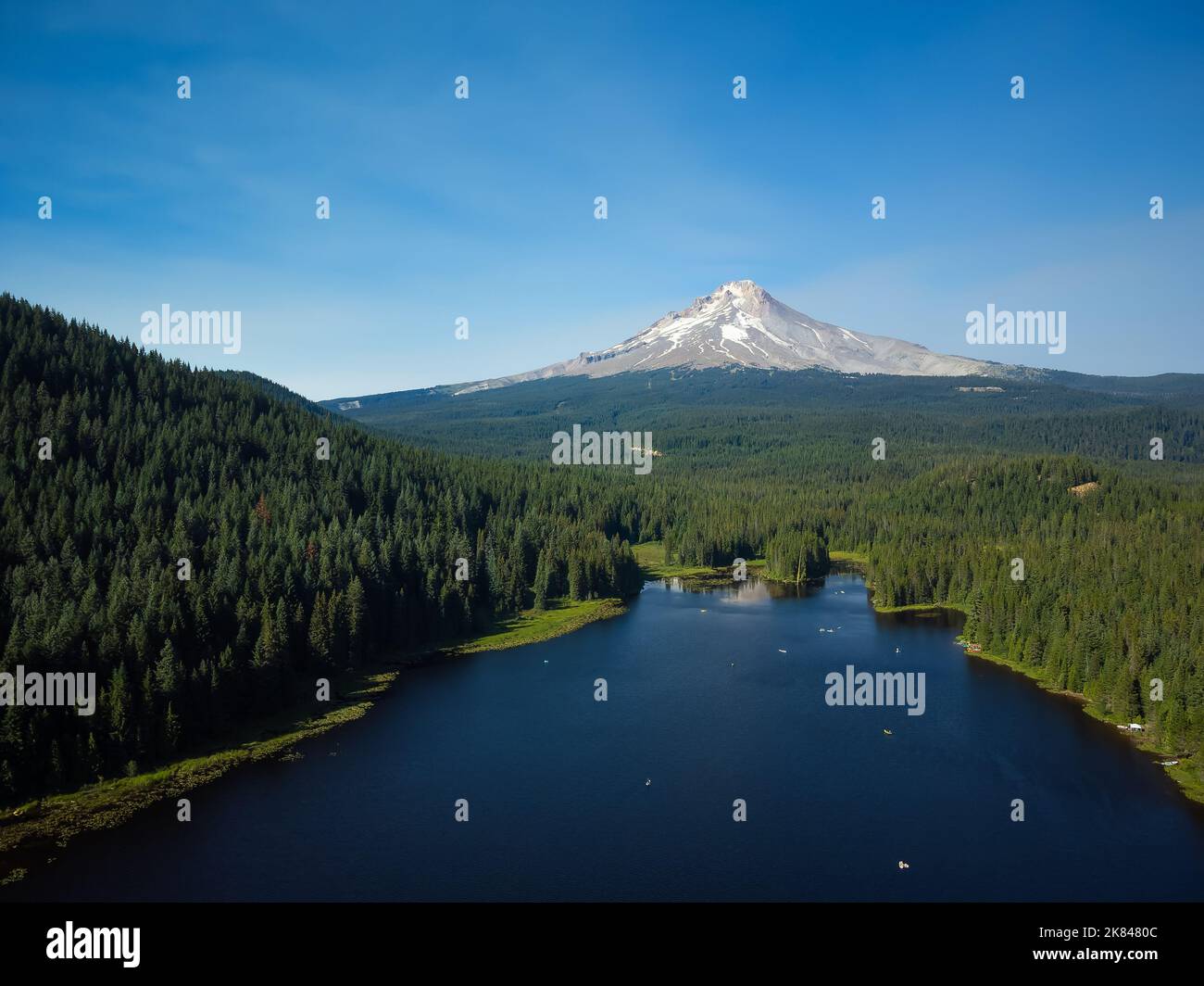 Lovely landscape. Calm dark blue river, on the bank of a pine forest ...