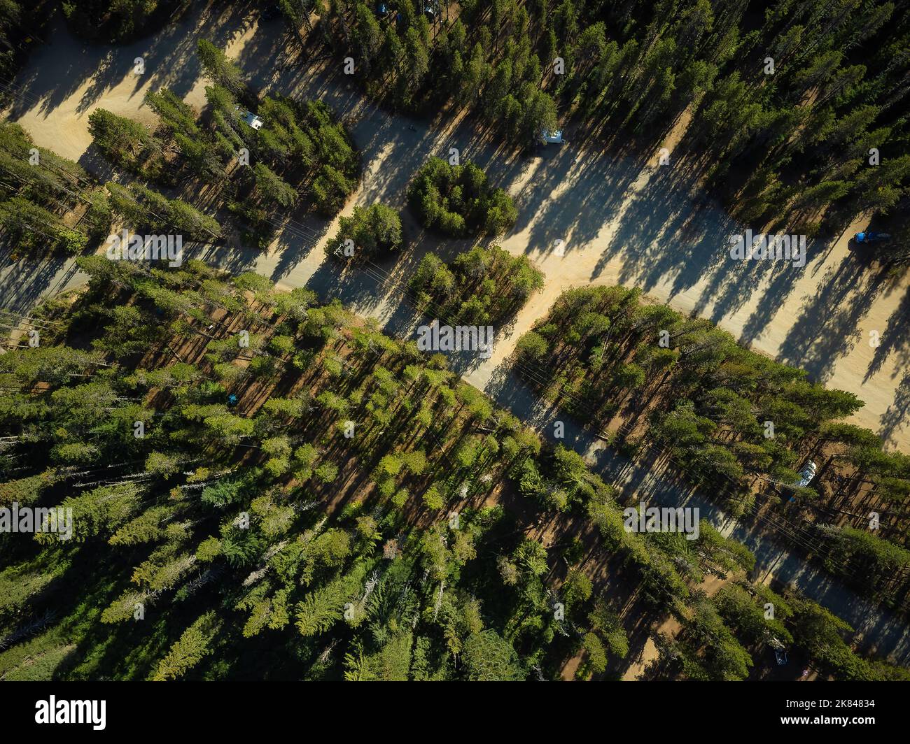 Shooting from a drone. Dense coniferous forest, illuminated by the ...