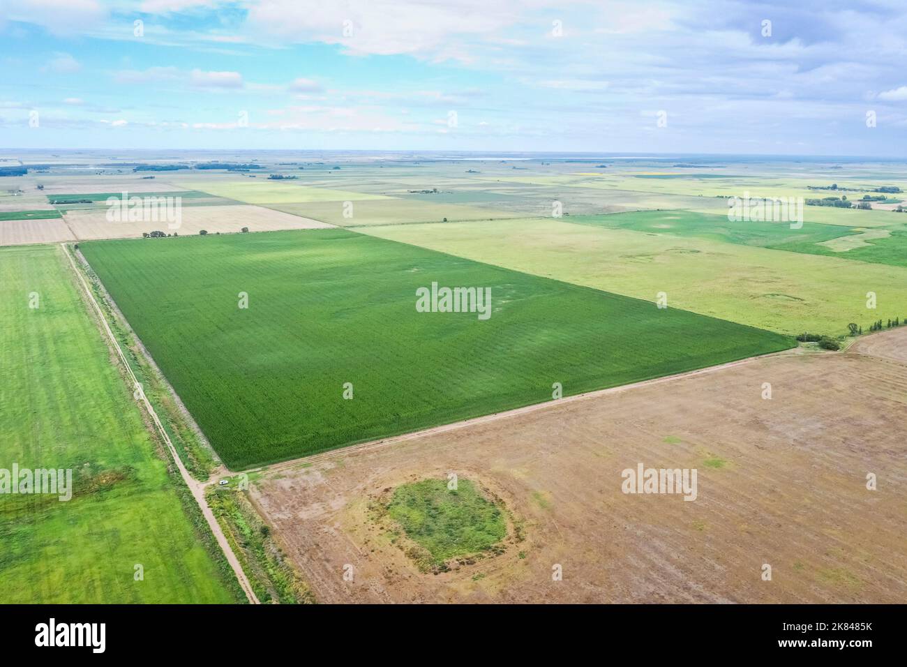 Aerial view of cultivated fields.La Pampa province Stock Photo - Alamy