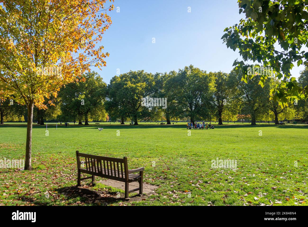 Grass field football pitch field soccer sport battersea park lon hi-res ...