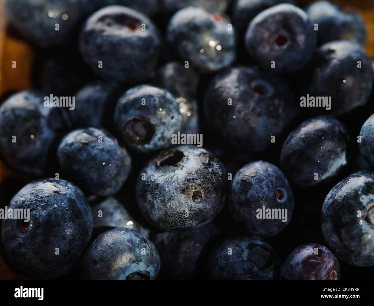 Close-up. Fresh blueberries. Lots of objects. A bountiful harvest ...