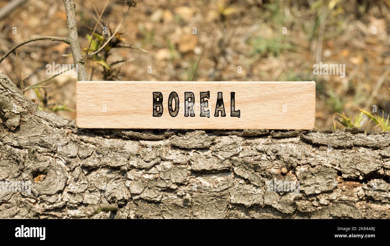 Written on Boreal Wood surface. Frame on tree branch. Ecology and ...
