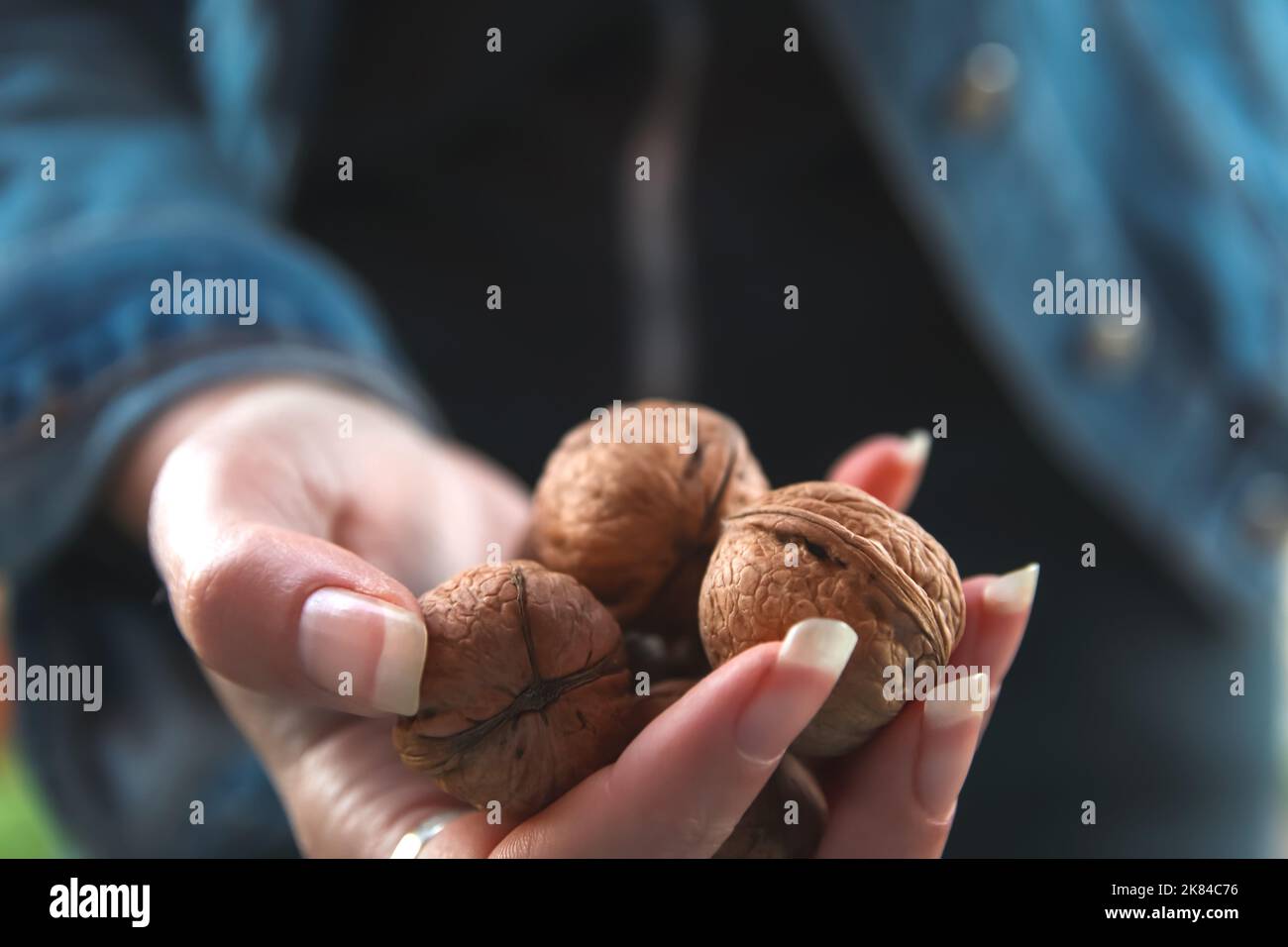 Defocus female hands holding walnuts. Woman has nuts on shell. Healthy ...