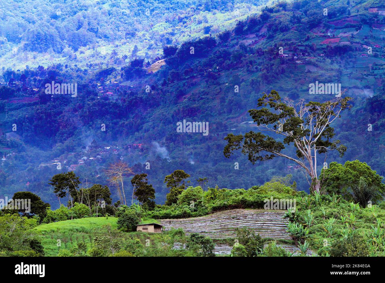 Explore field hi-res stock photography and images - Alamy