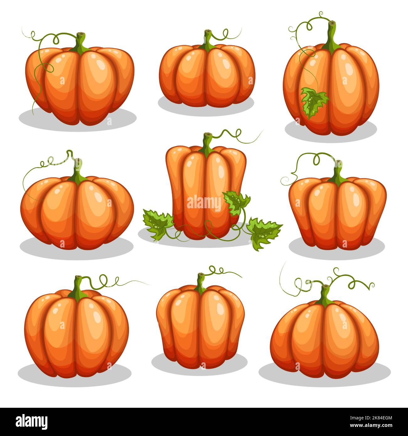 Set of Halloween pumpkins isolated on white background. Vector ...