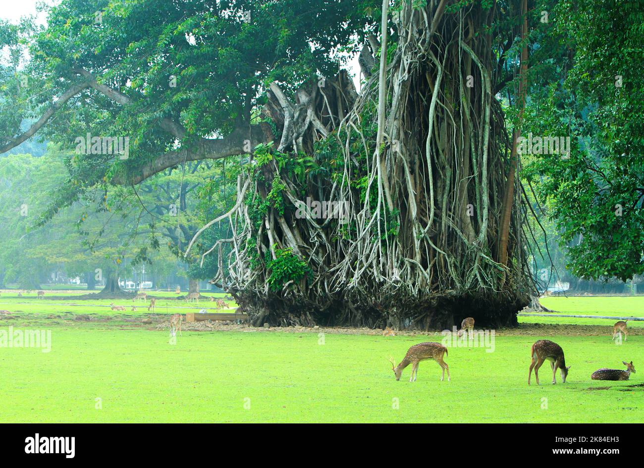 Quiet cool hi-res stock photography and images - Alamy