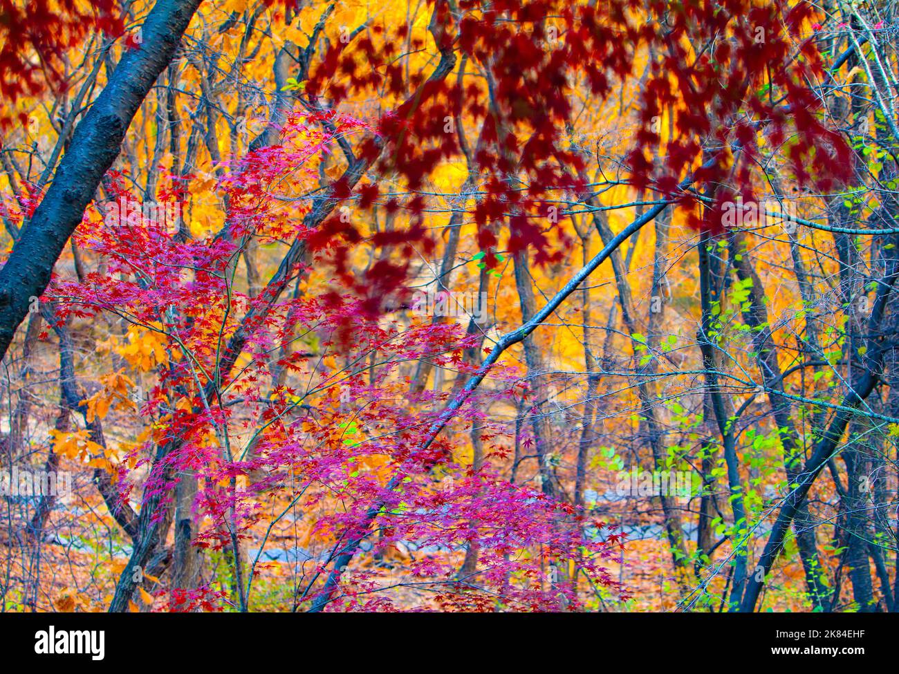 Colorful ocean artwork hi-res stock photography and images - Alamy