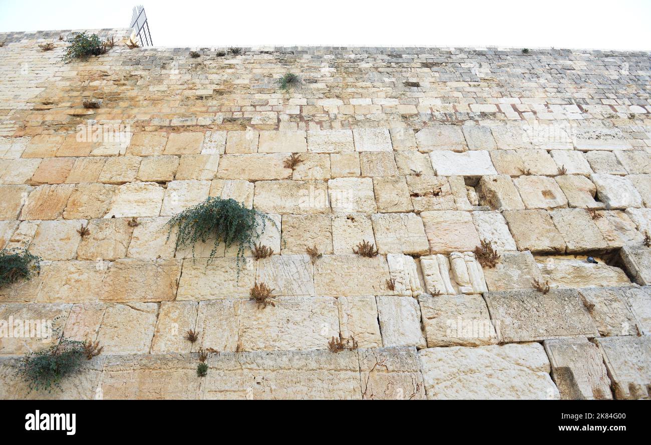 The sacred Jewish Wailing wall in the Jewish quarter in the old city of ...