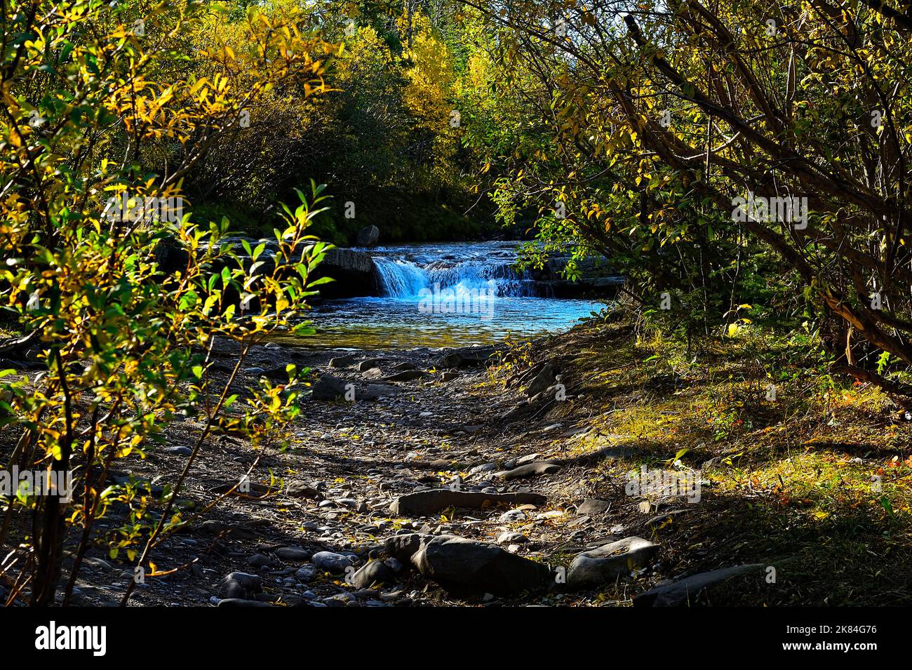 A small waterfall hidden on a secluded part of a fast flowing stream in ...