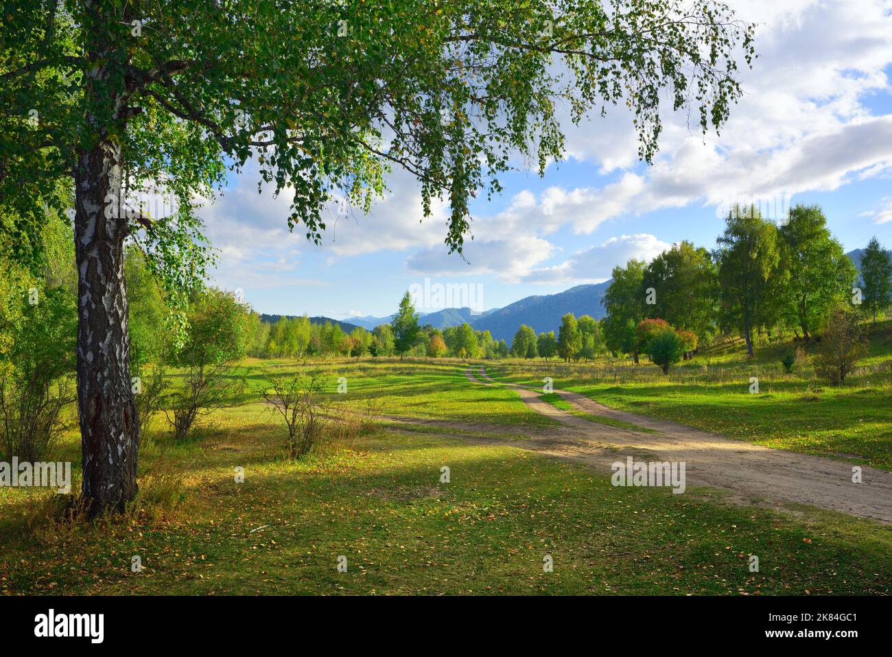 A road in a mountain valley. Birch trees on the slope at the foot of ...