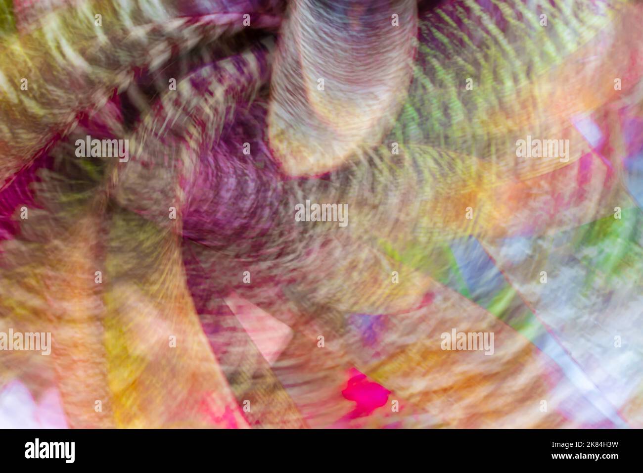 Nature floral abstract colourful whirling effect plants in motion and ...