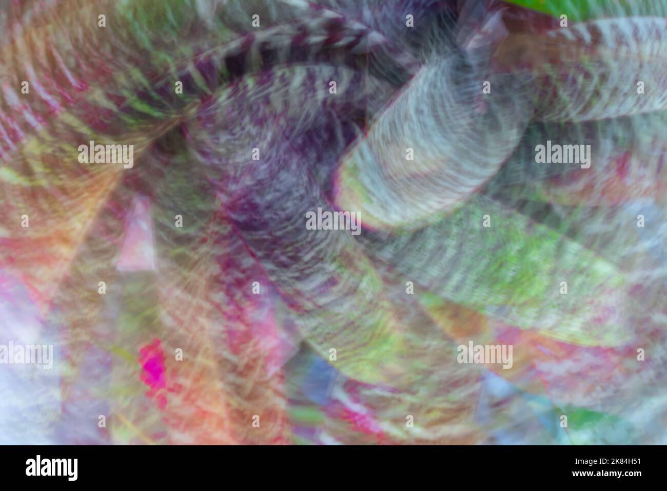 Nature floral abstract colourful whirling effect plants in motion and ...