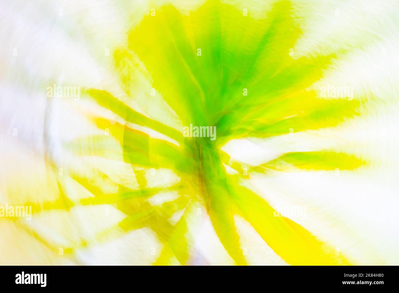 Nature floral abstract colourful whirling effect plants in motion and ...