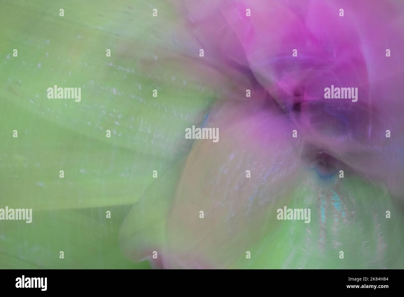 Nature floral abstract colourful whirling effect plants in motion and ...