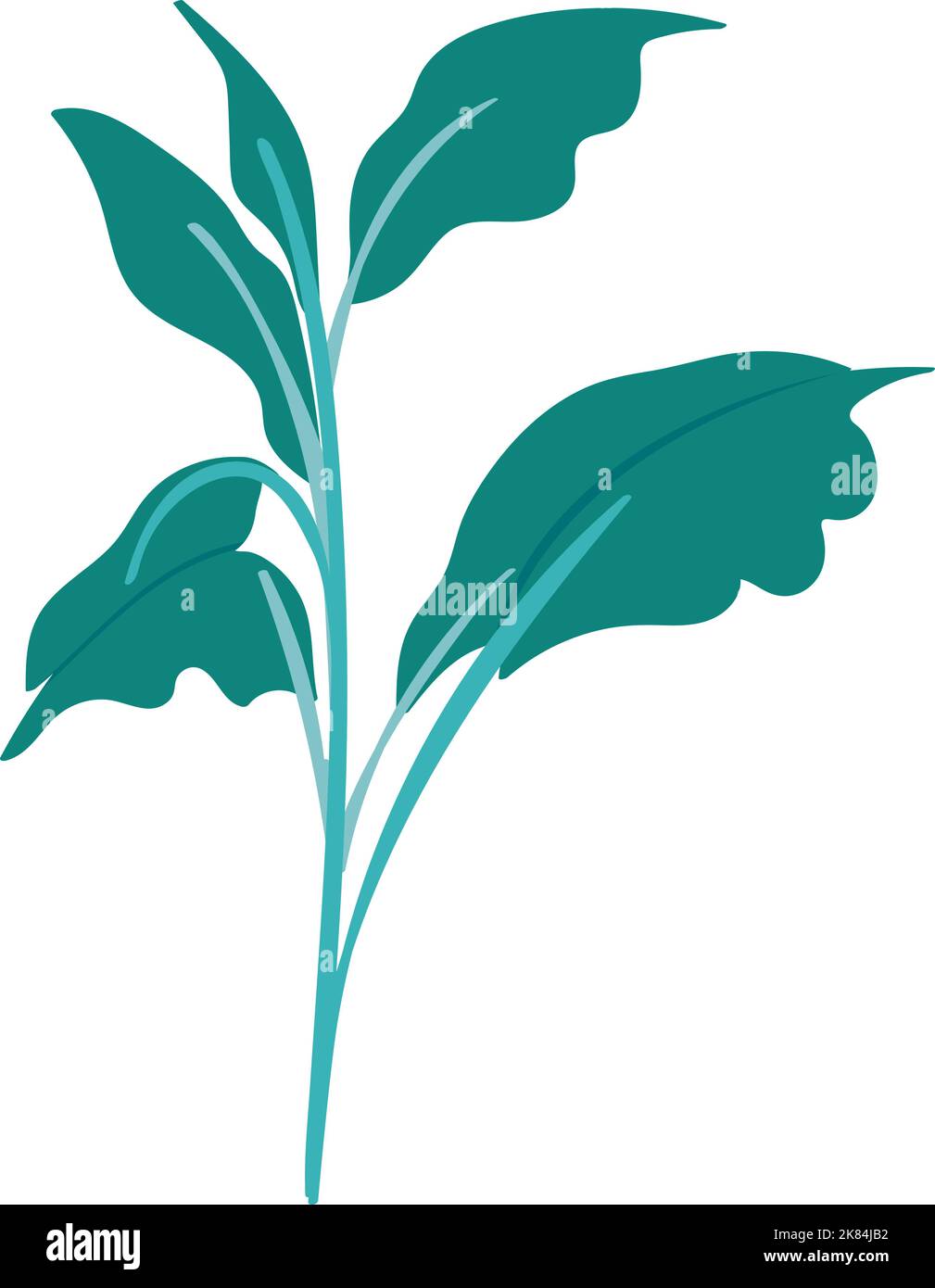 Flat leaves foliage Stock Vector Image & Art - Alamy