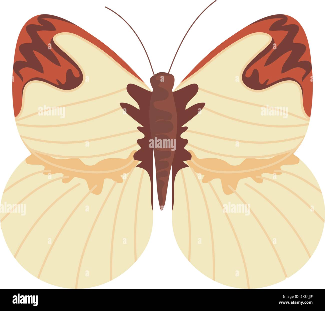 Flat cute Butterfly Stock Vector Image & Art - Alamy