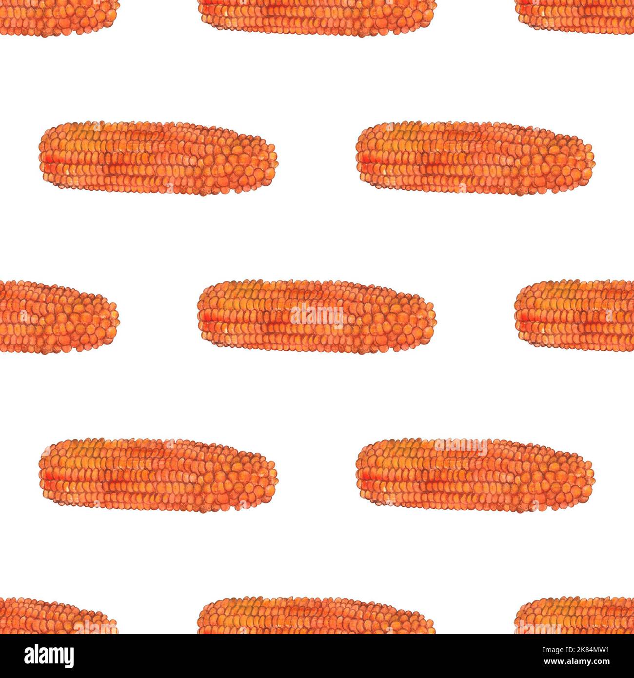 bright orange corn, a symbol of the harvest, watercolor pattern ...