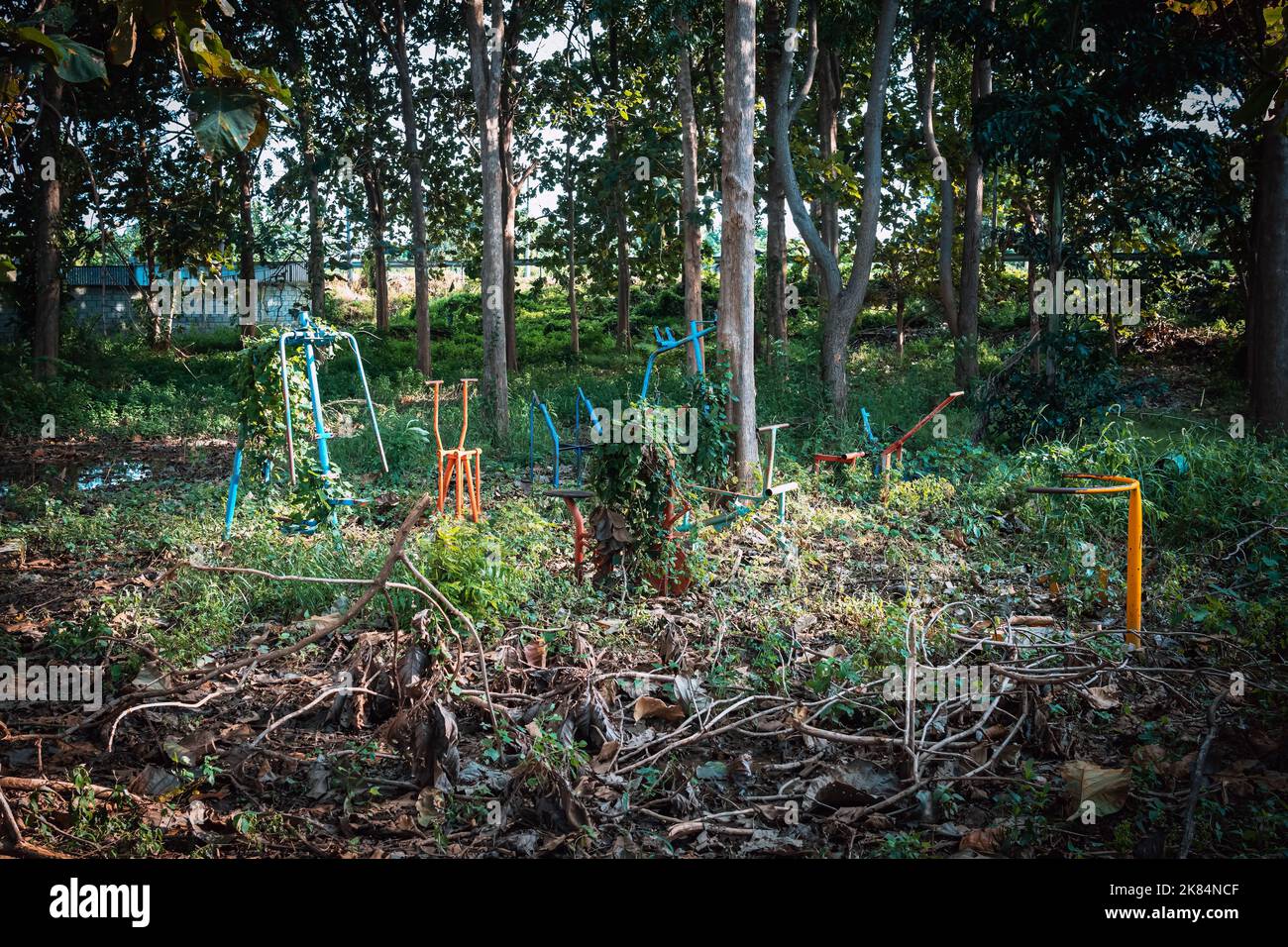 Old outdoor exercise equipment so worn out and covered in trees in ...