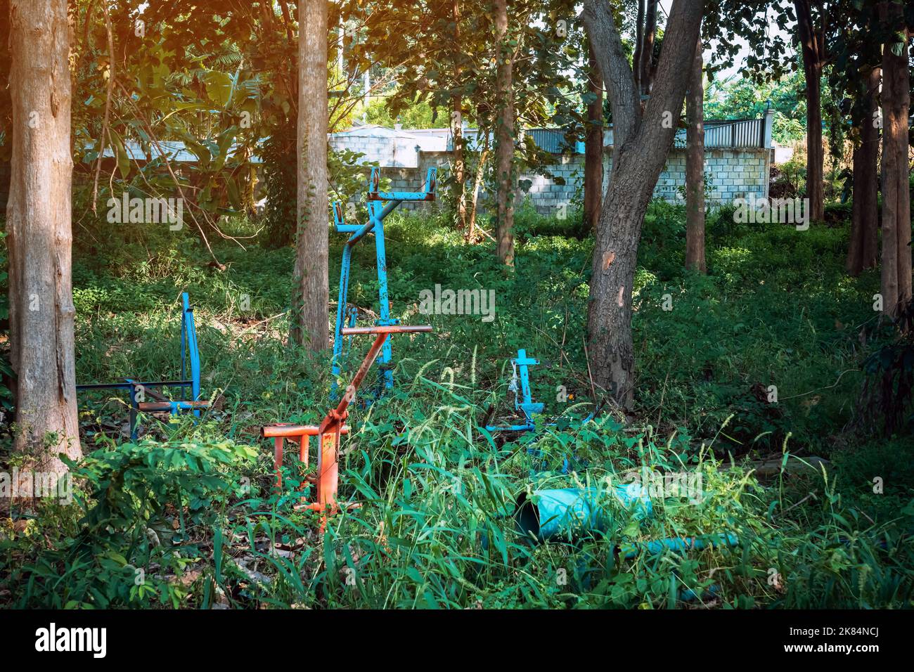 Old outdoor exercise equipment so worn out and covered in trees in ...