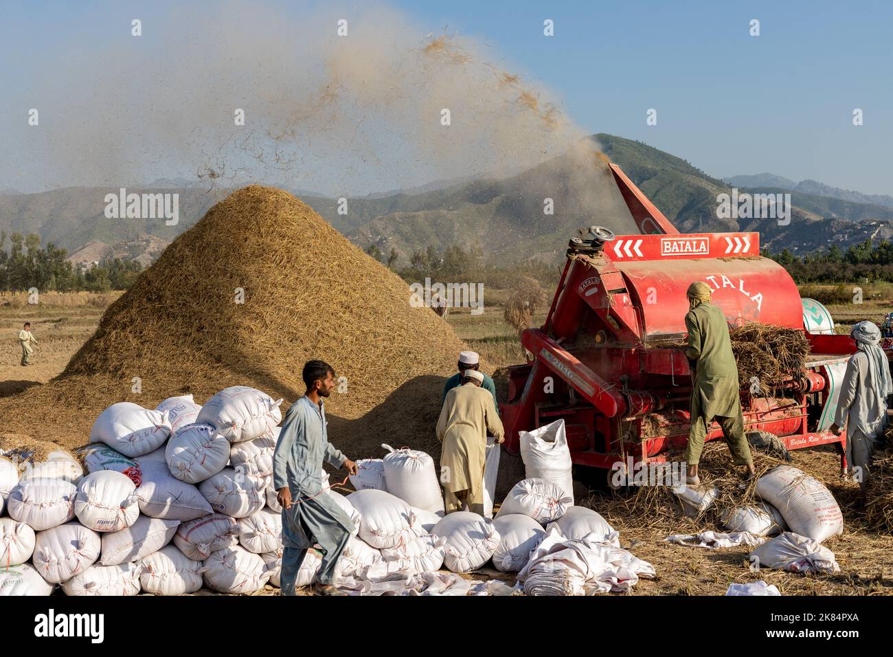 MALAKAND DIVISION , KPK, PAKISTAN, October, 07, 2022: Farmer and ...