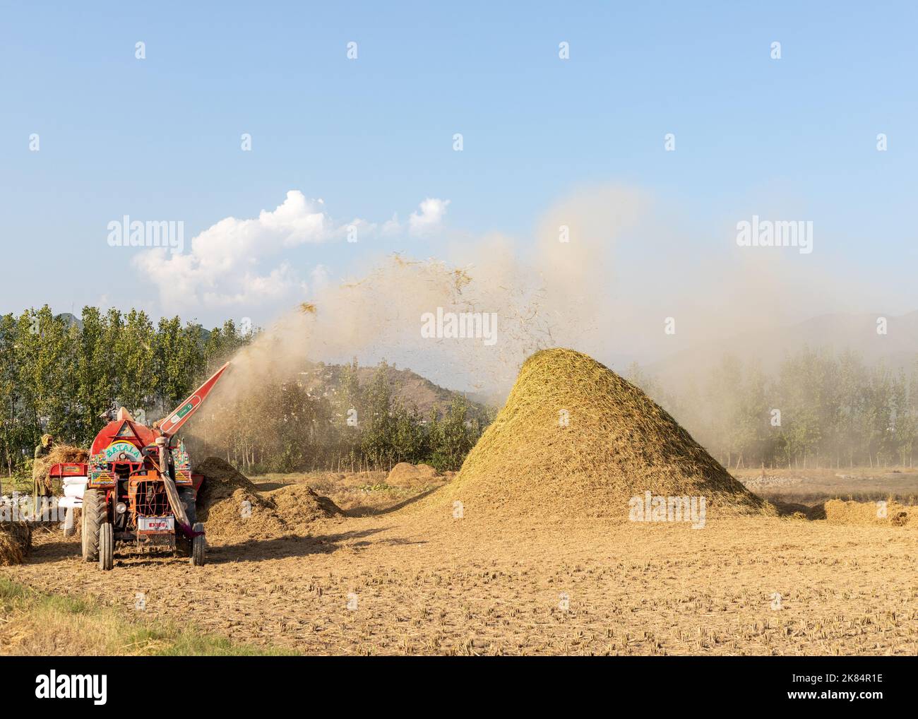 MALAKAND DIVISION , KPK, PAKISTAN, October, 07, 2022: Farmer using rice ...