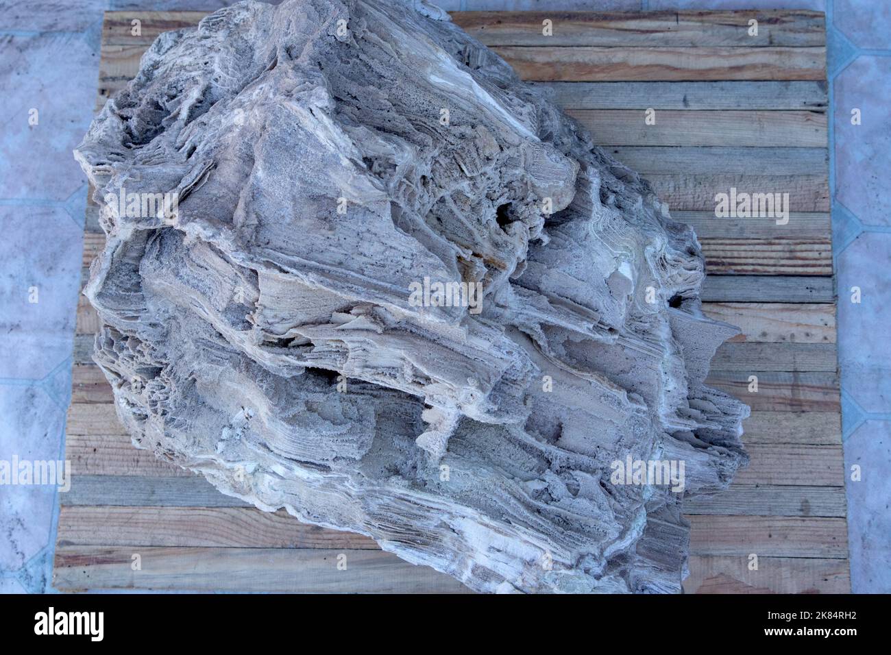 Ancient old petrified wood, excavation, minerals, as nice background ...