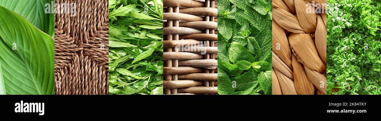 Set of eco wicker textures and green plants, closeup Stock Photo - Alamy