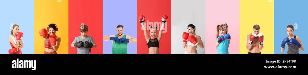 Set of different boxers on colorful background Stock Photo - Alamy