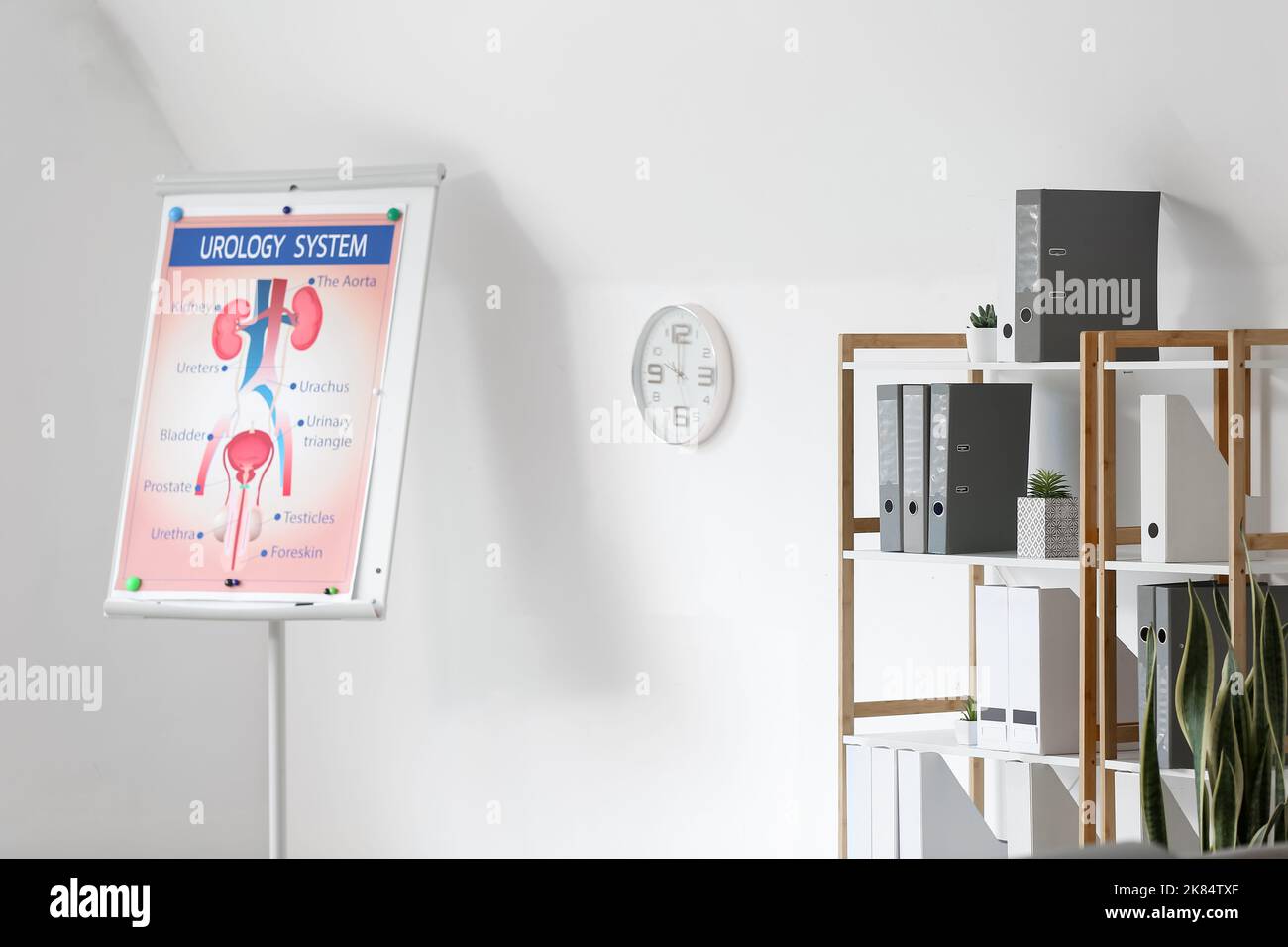 Stand with poster in urologist office Stock Photo - Alamy