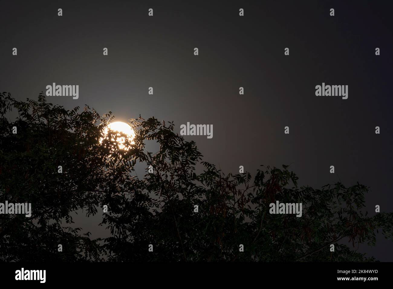 Bright full moon behind some tree branches. Greece Stock Photo - Alamy