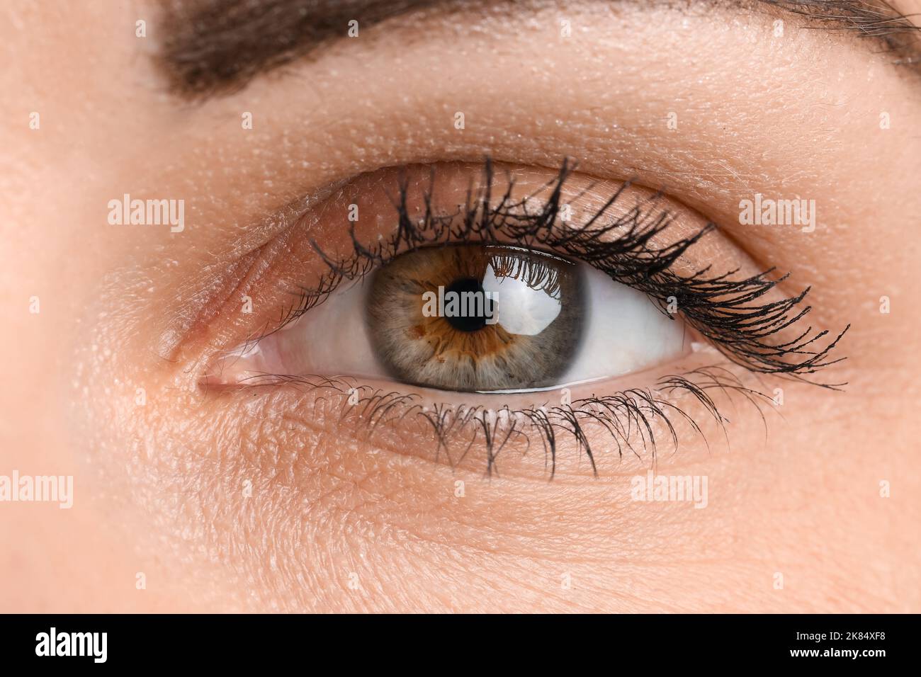 Young woman with beautiful hazel eyes, closeup Stock Photo - Alamy