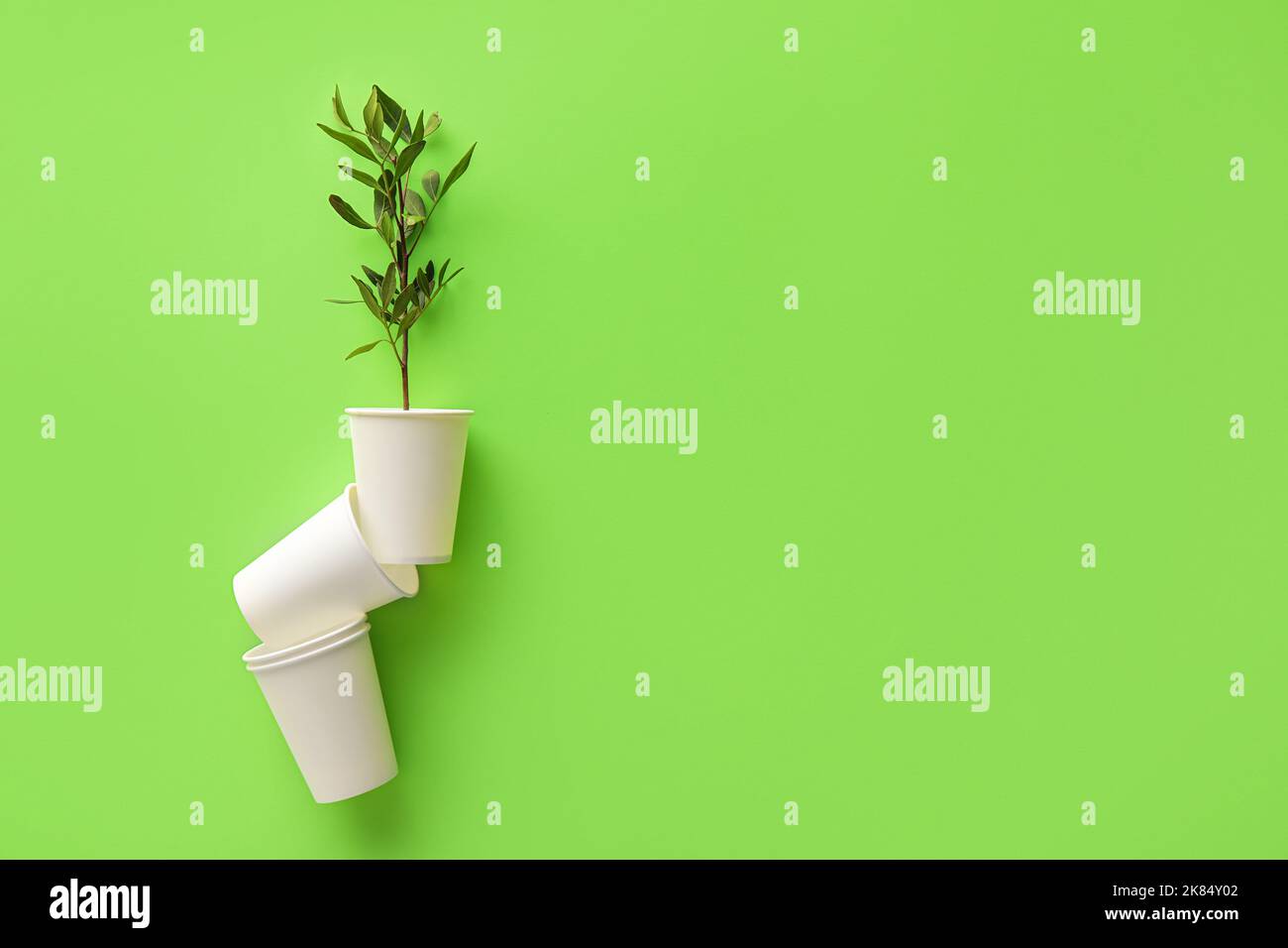Paper cups and plant branch on green background Stock Photo - Alamy