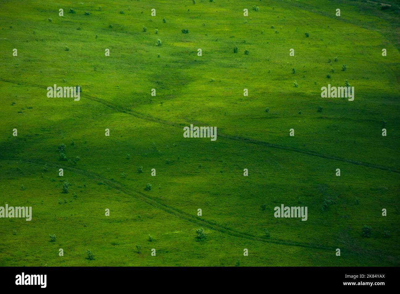 green grass surface texture. mountain hill in summer Stock Photo - Alamy