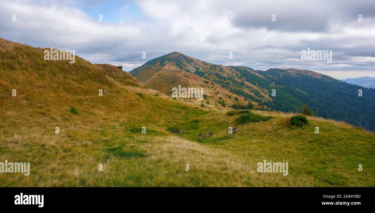 Simple landscape bright cloudy sky hi-res stock photography and images ...