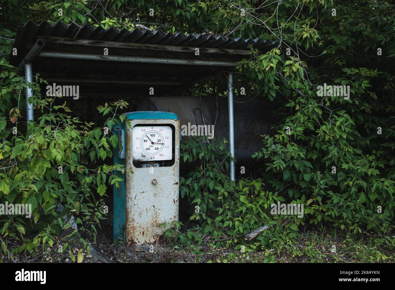 Old rusty abandoned gas station overgrown with grass and trees Stock ...