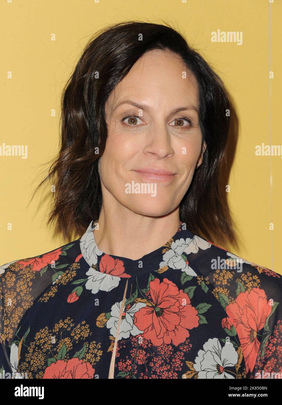 Los Angeles, CA. 20th Oct, 2022. Annabeth Gish at arrivals for CALL ...