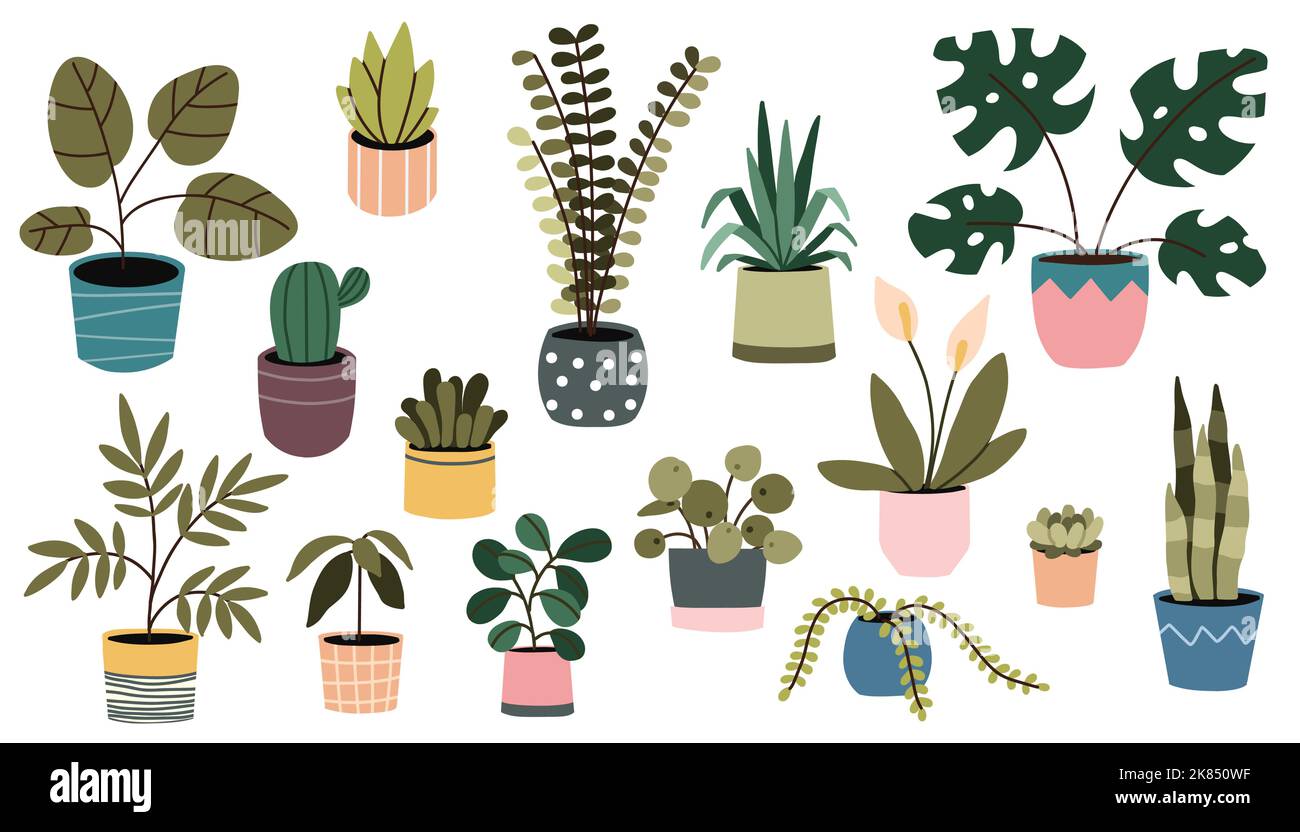 Potted plant. Houseplants in flower pot. Vector bundle of trendy plants ...