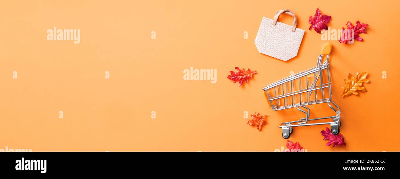 Autumn shopping design concept with shopping cart and maple leaves on ...