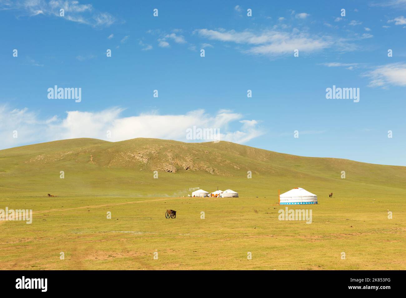 Yurts in Summer Mongolian Steppe Stock Photo - Alamy